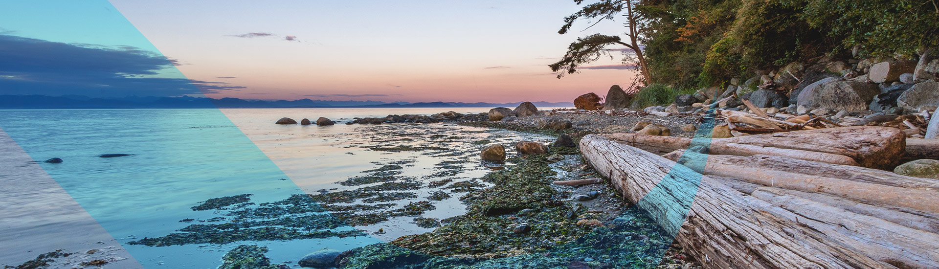 Professional Advisors - Comox Valley Community Foundation